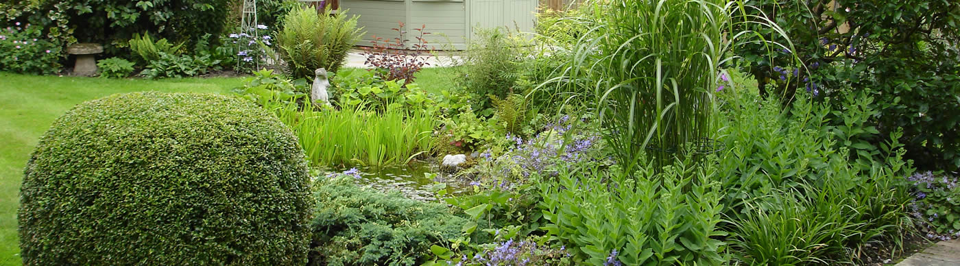 Plant Spacing – The Garden Designer’s Dilemma - ALDA Landscapes