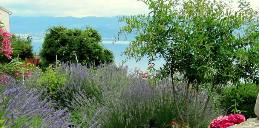 Mediterranean Planting - ALDA Landscapes